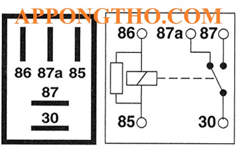 Relay 5 Chân Là Gì? Cách Xác Định Chân Rơ le 5 Chân Nhanh