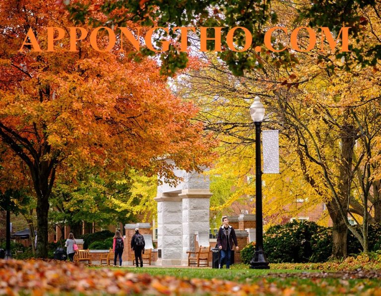 Tour Du Lịch Là Gì? Tốp 20 Mẫu Thiết Kế 1 Tour Du Lịch Hoành Tráng