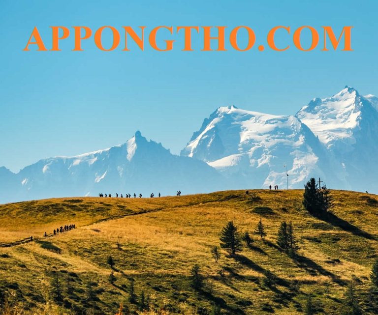 Tour Du Lịch Là Gì? Tốp 20 Mẫu Thiết Kế 1 Tour Du Lịch Hoành Tráng