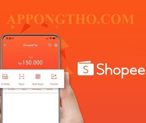 Shopeefood Là Gì? Giải Mã 30 Câu Hỏi Về Shopeefood Thường Gặp