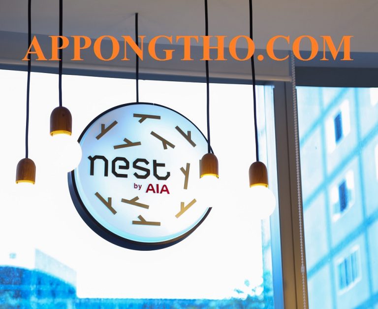 Nest By Aia Là Gì? 20 Trụ Sở Nest By Aia Trên Toàn Quốc Uy Tín